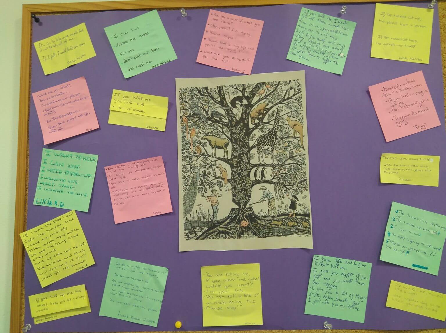 Project-based Learning: Some Ideas for ecoTEFL - ELT Footprint